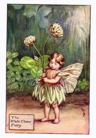 White Clover Flower Fairy – Flower Fairy Prints