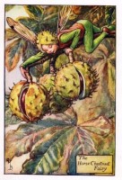 Mallow Flower Fairy – Flower Fairy Prints