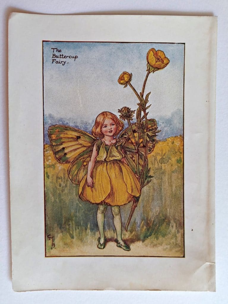 Buttercup Fairy – Flower Fairy Prints