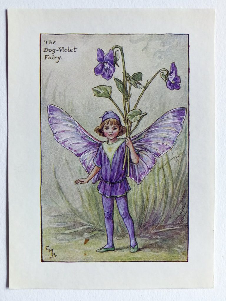 Dog-Violet Fairy – Flower Fairy Prints