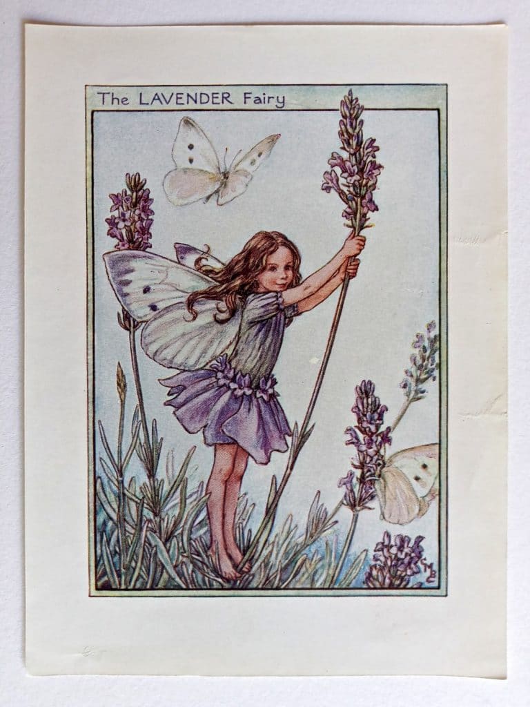 Lavender Vintage Flower Fairy Print – Flower Fairy Prints