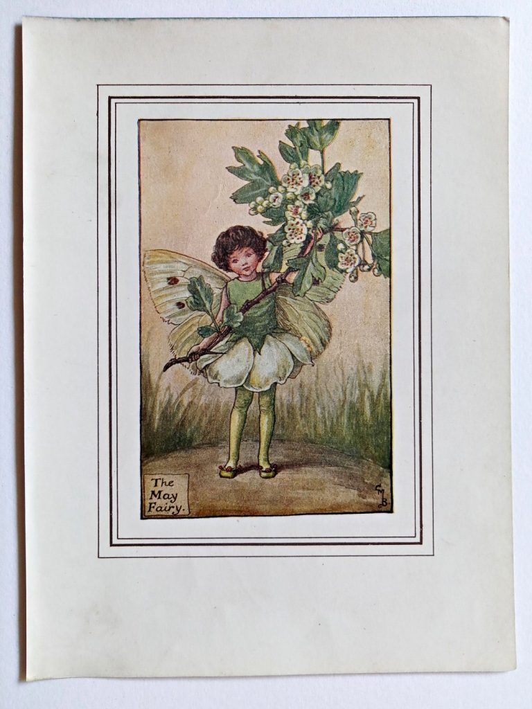 May Fairy Print – Flower Fairy Prints