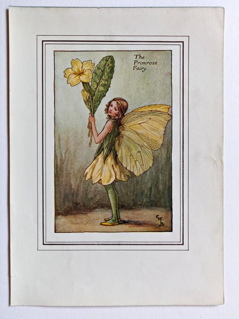 Primrose Fairy Print – Flower Fairy Prints
