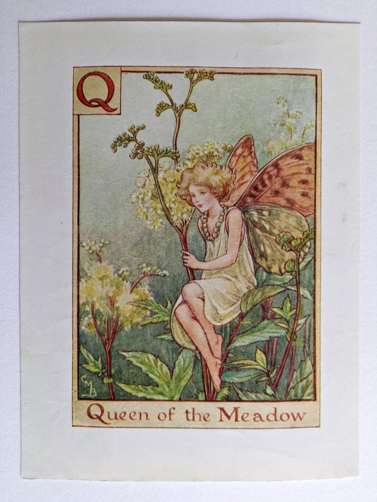 Queen-of-the-Meadow Fairy – Flower Fairy Prints
