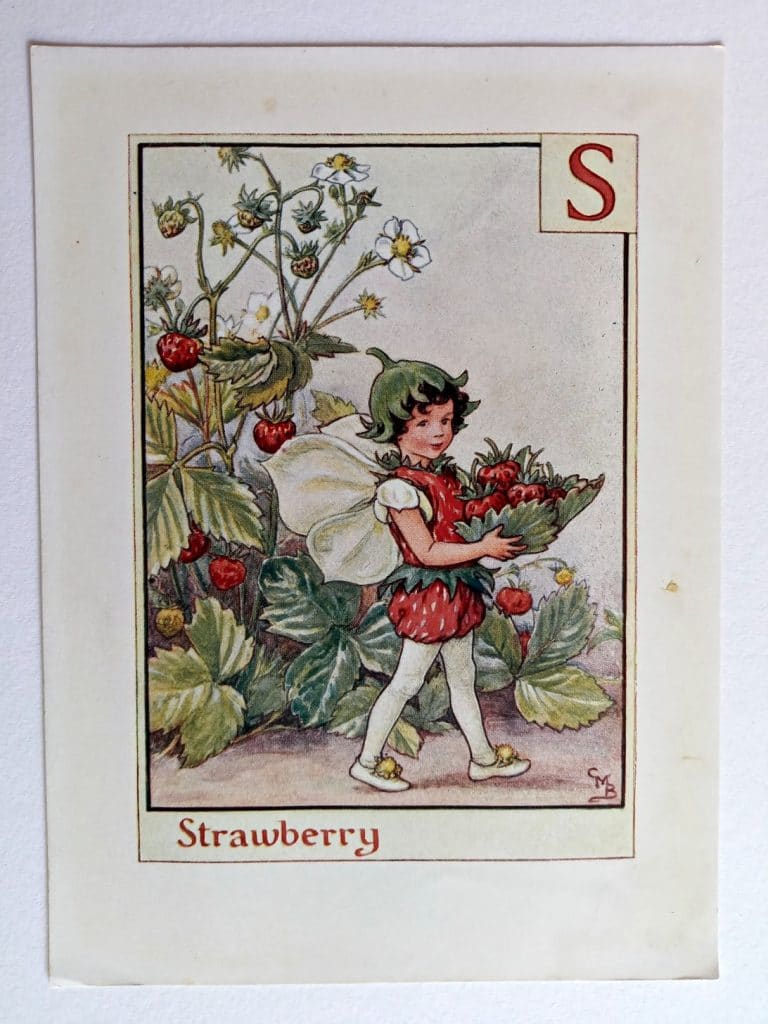 Strawberry Fairy – Flower Fairy Prints