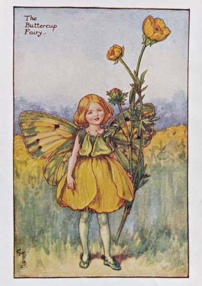 Summer Fairies – Flower Fairy Prints
