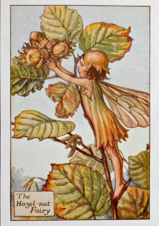 Autumn Fairies – Flower Fairy Prints