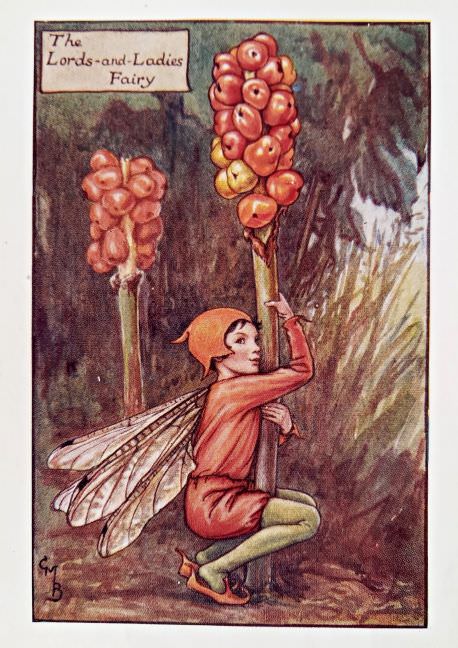 Autumn Fairies – Flower Fairy Prints