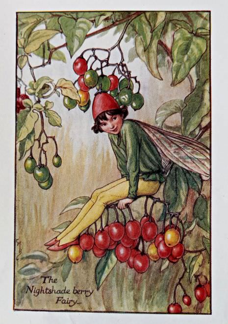 Autumn Fairies – Flower Fairy Prints
